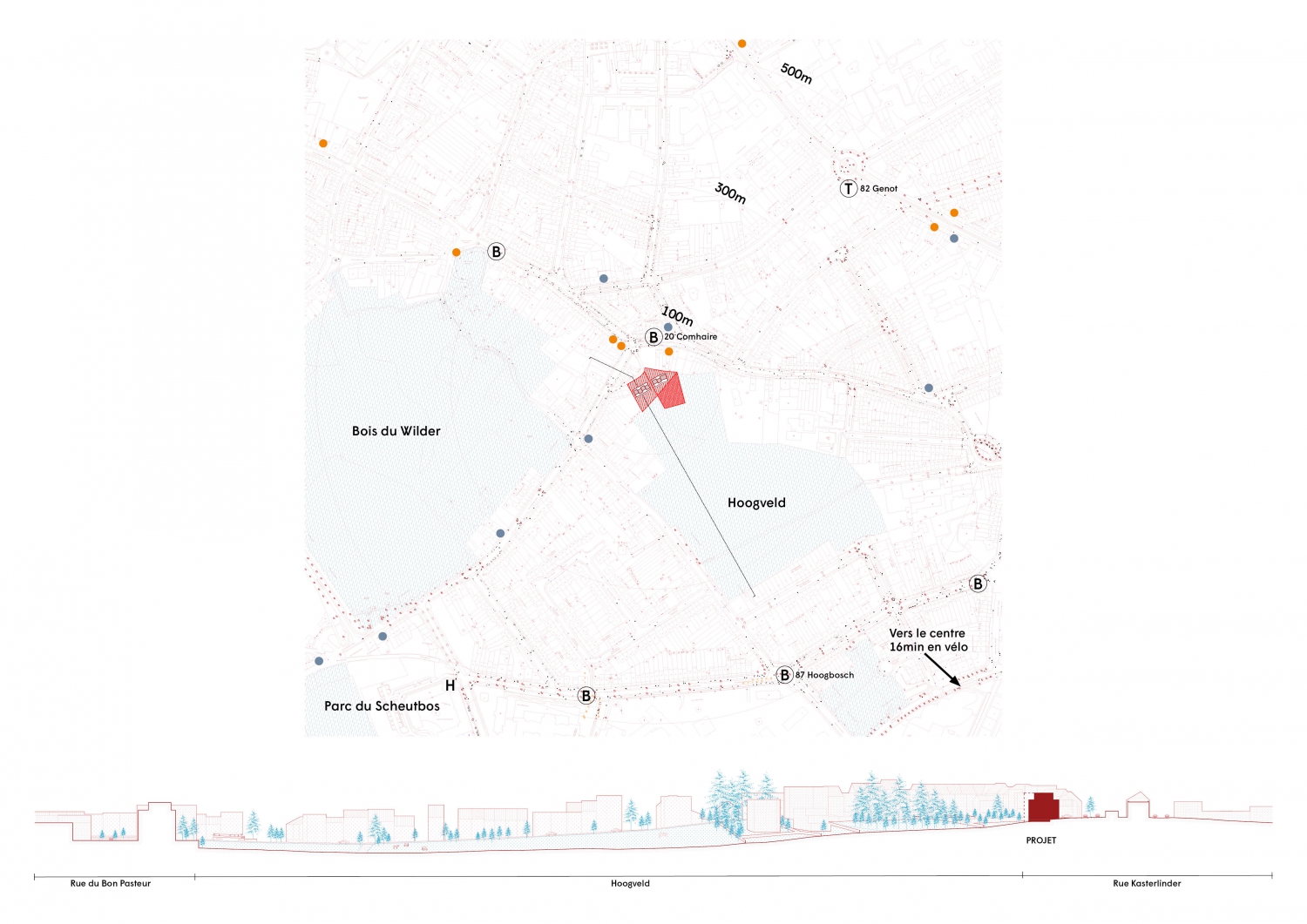 Kasterlinden | l'escaut